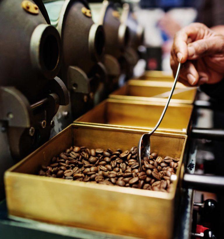 Cupping là gì? Cách chuẩn bị mẫu cupping café